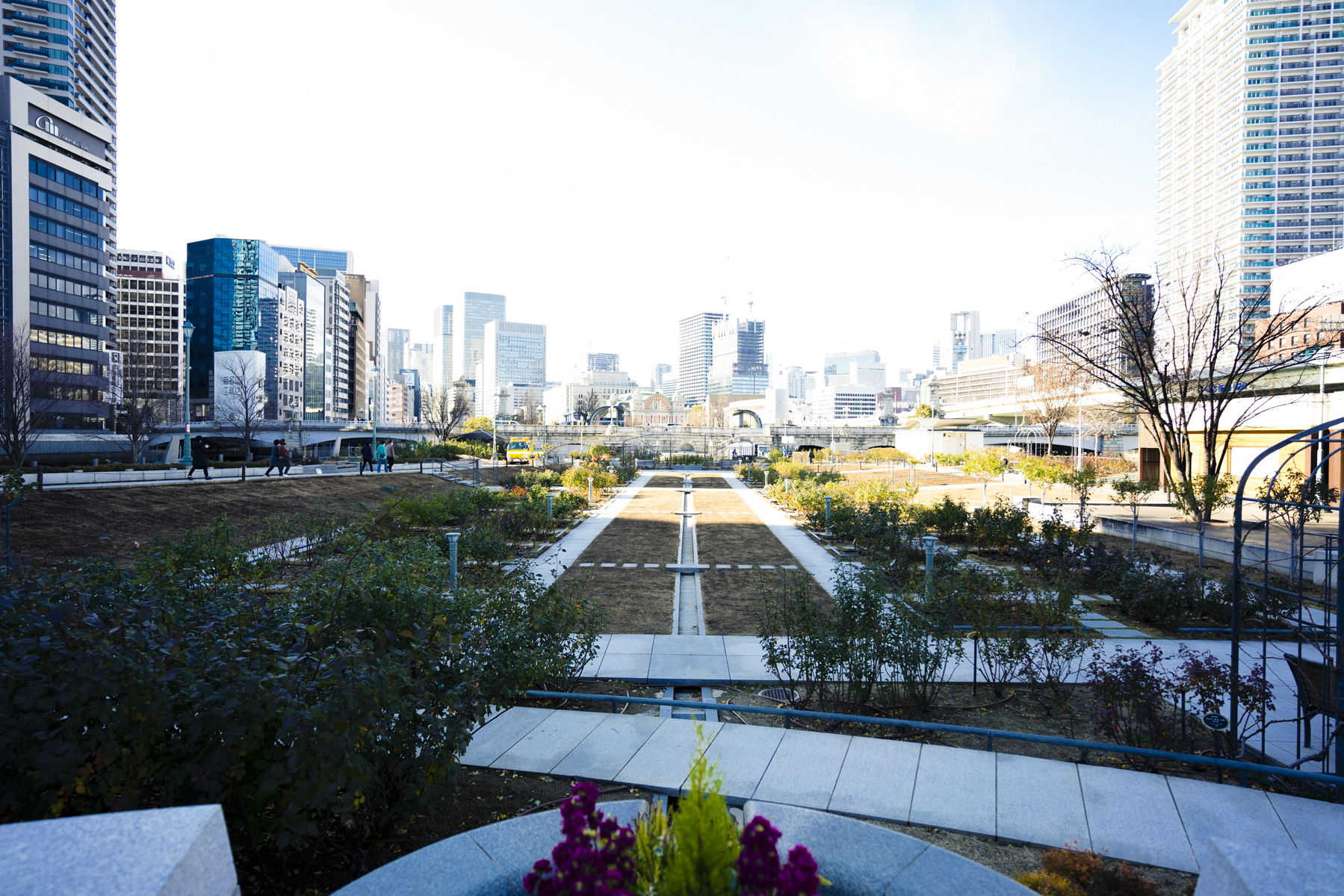 冬の中之島公園 | KC RIVERSIDE STUDIO